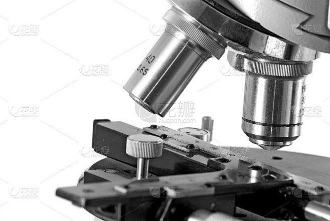 显微镜下的孤立图像