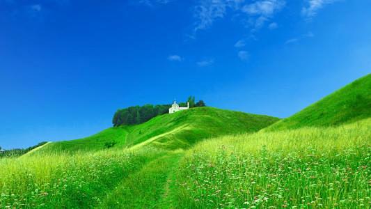 全护眼电脑桌面壁纸_百度图片搜索