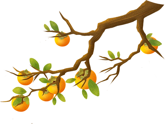 5ebc362a-1e2d-11ec-ab44-00163e04e108.png!ds_w2000_nowater (1081×800)-花瓣网