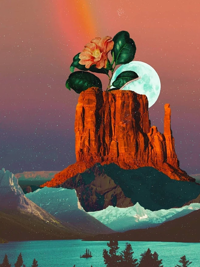 花瓣灵感详情页-花瓣网