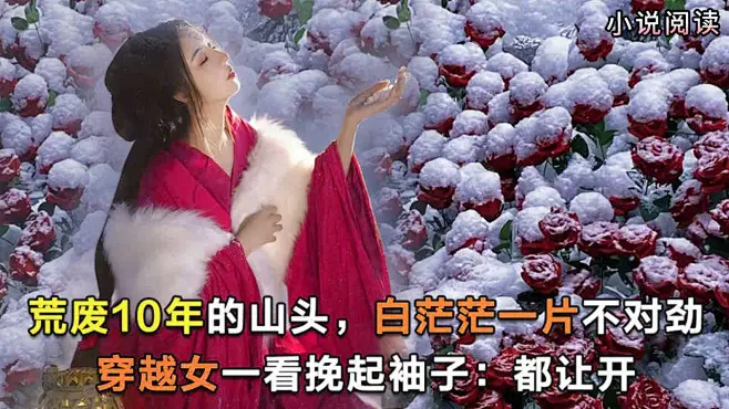 女-古言-大图-无-26LSQ-1206 (6)-花瓣网