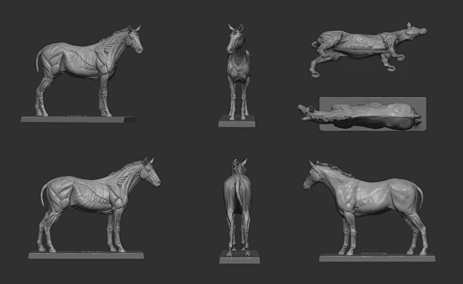Green - Quarter Horse ecorche 3dtotal, Gael Kerchenbaum : This is Green ...