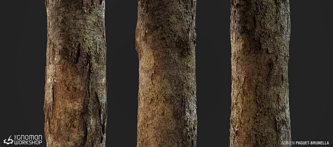 The Gnomon Workshop : Creating a Swamp Scene For Games - Assets-花瓣网