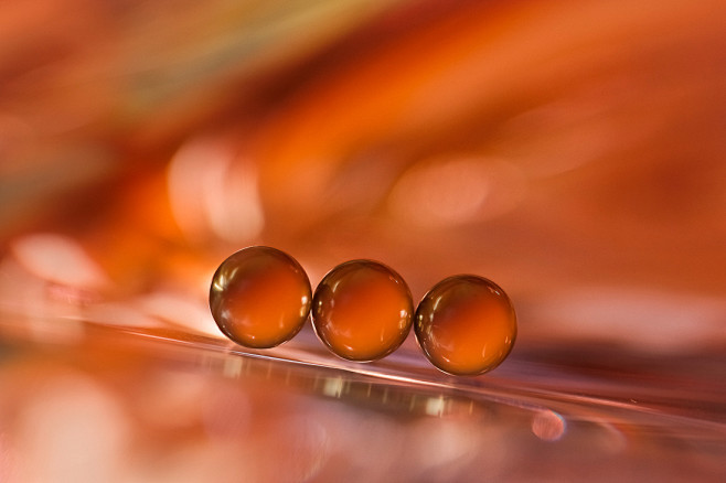 Canon EOS 550D EF100mm f/2.8L Macro IS USM 100mm/ƒ/3.5/1/80s/ISO 200-花瓣网