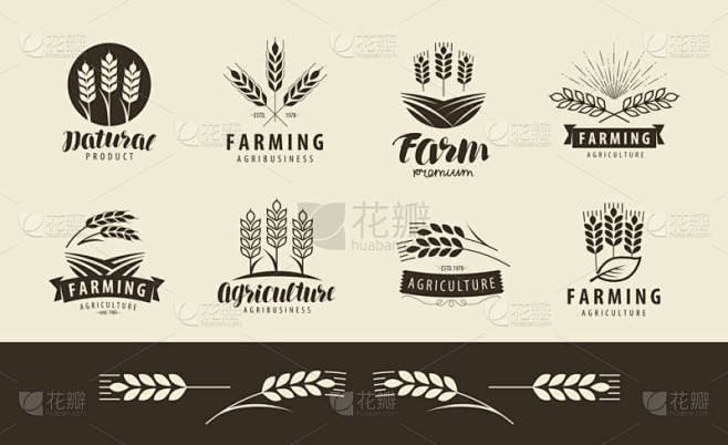 农业, 小麦标志或标签。农场, 耕作的图标集。矢量插图