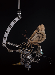 机械动物&昆虫-花瓣网|陪你做生活的设计师 | src=http___ci