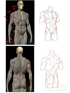 -LINRAN-的照片 - 微相册-花瓣网