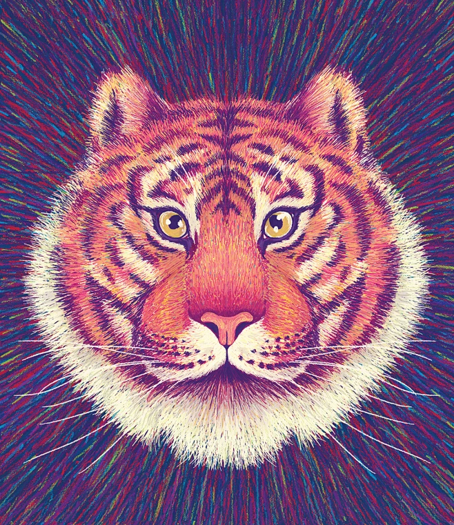 wildlife Digital Art ILLUSTRATION editorial animal endangered ...