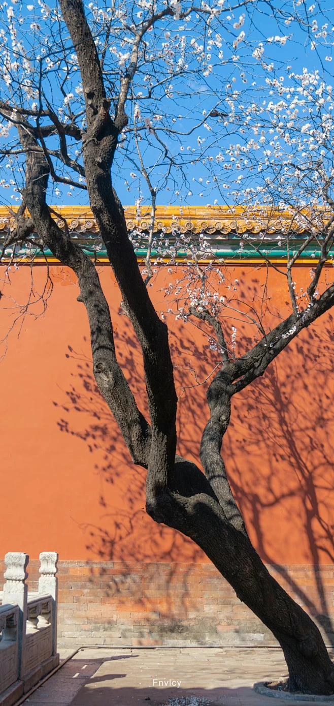 微博搜索-花瓣网