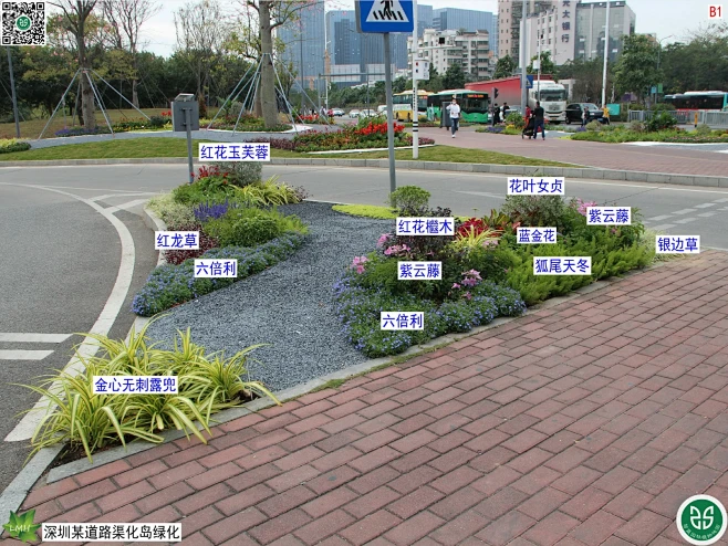 交通岛、道路、花境：深圳道路渠化岛绿化(2022年1月)-花瓣网