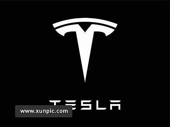 Tesla 标志 UI设计 -花瓣网