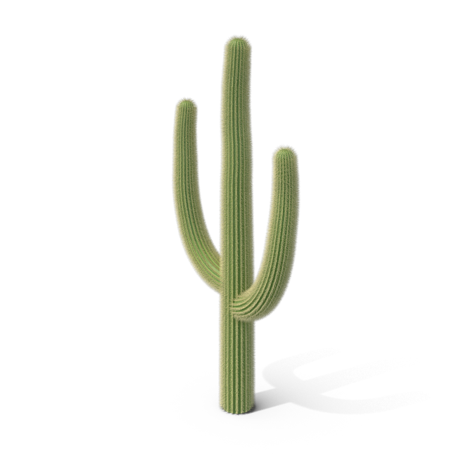 Cactus.H03.2k (2)