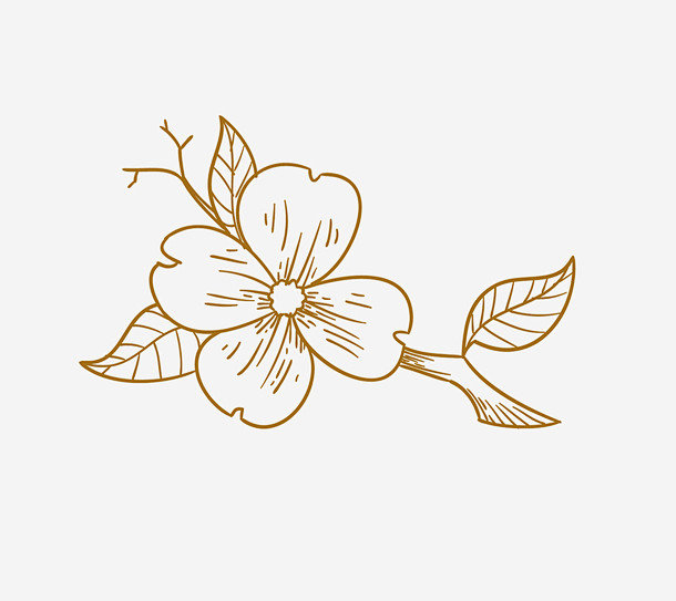 桃花枝干桃花简笔画_新图网 https://ixintu.com 美丽的 装饰 桃花 桃花枝 花朵 盛开的 简笔画