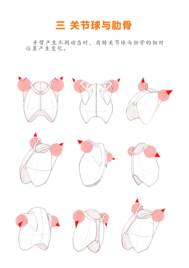 008CfGoFgy1hnyndirhthj31ww2pgwy9.jpg (2480×3508)-花瓣网