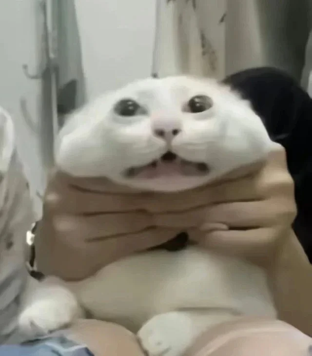 有病表情包 - 小红书搜索-花瓣网