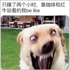meme（梗图）图片大全-meme（梗图）高清好看的图片--花瓣超级无敌窝窝头的画板