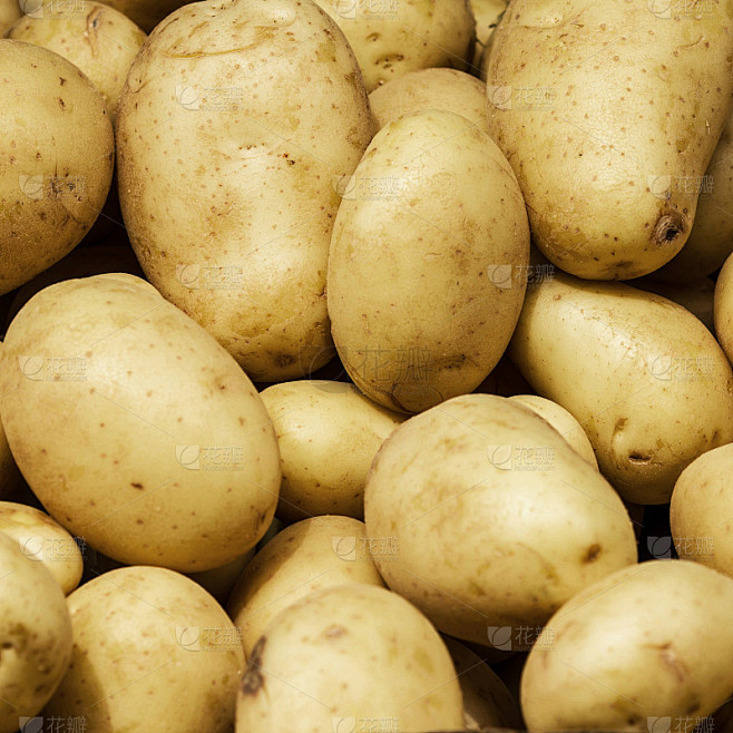 土豆的背景。食物