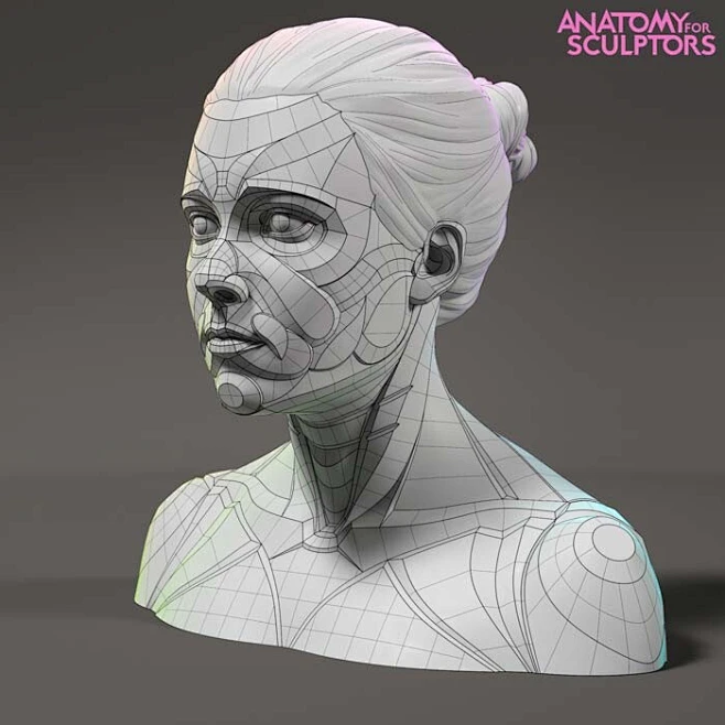 Young woman model , Anatomy For Sculptors : Block-out model of a young ...