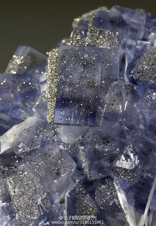 kuangshi (2985)-花瓣网