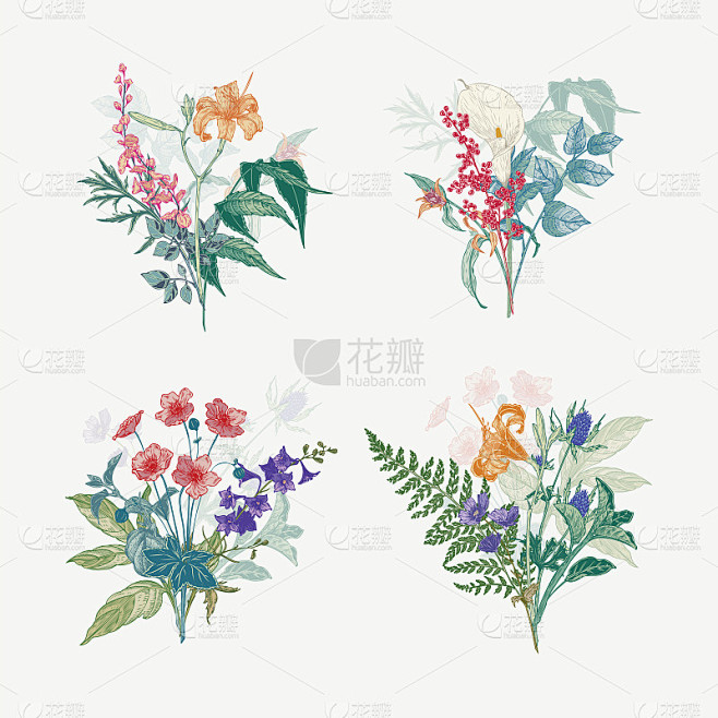 Vintage wild flower bouquet illustration set. Isol
