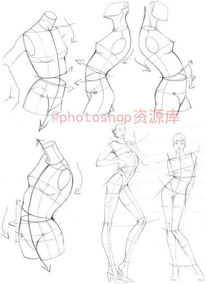 人体结构图-花瓣网