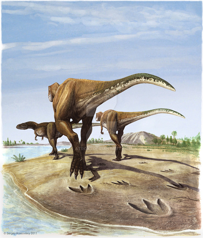 Megalosauripus(87120)