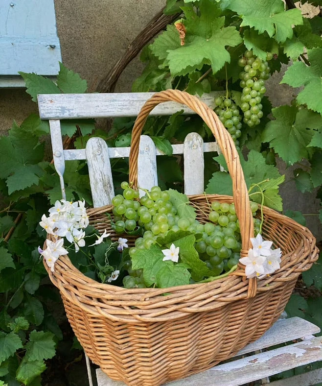 花瓣灵感详情页-花瓣网