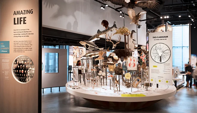 Natural Science Popularization Exhibition 项目 | Behance 上的照片、视频、徽标、插图和品牌-花瓣网