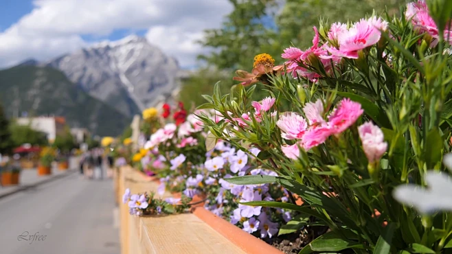 302929701_0038_20221119-095859-花瓣网