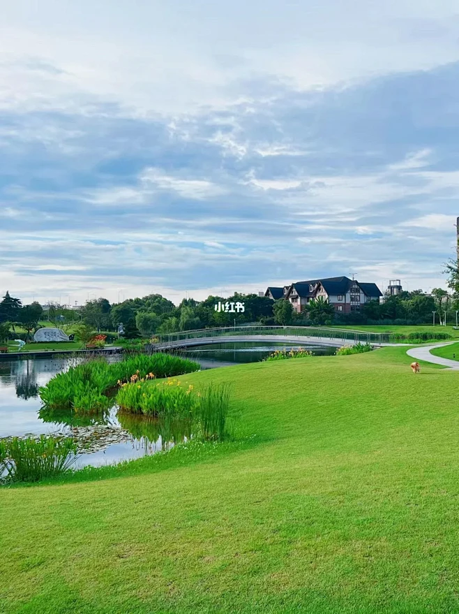 洋湖湿地公园的美，必须要走遍才能感受到！