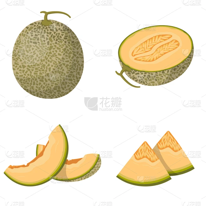 切片食物,完整,瓜,横截面,部分,清新,背景分离,食品,浆果,熟的素材-花瓣网