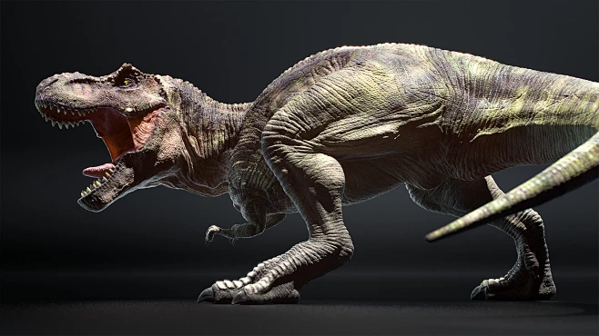 antoine-verney-carron-trex03c2-花瓣网