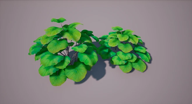 ningmeng-foliage3.jpg (1920×1044)-花瓣网