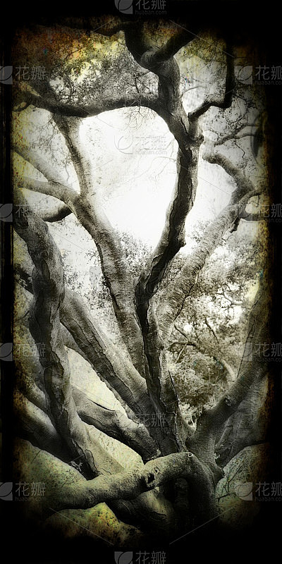 Trees_Distressed