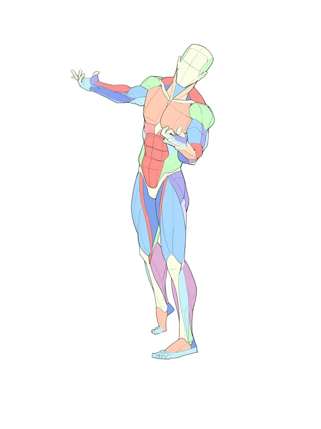 跟新一组男性肌肉结构和动态绘画素材