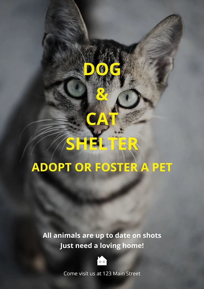 Animals Shelter Propaganda Poster素材-花瓣网