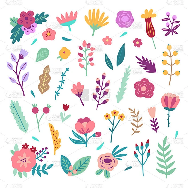 Flowers and plants on white background.Vector blos素材-花瓣网