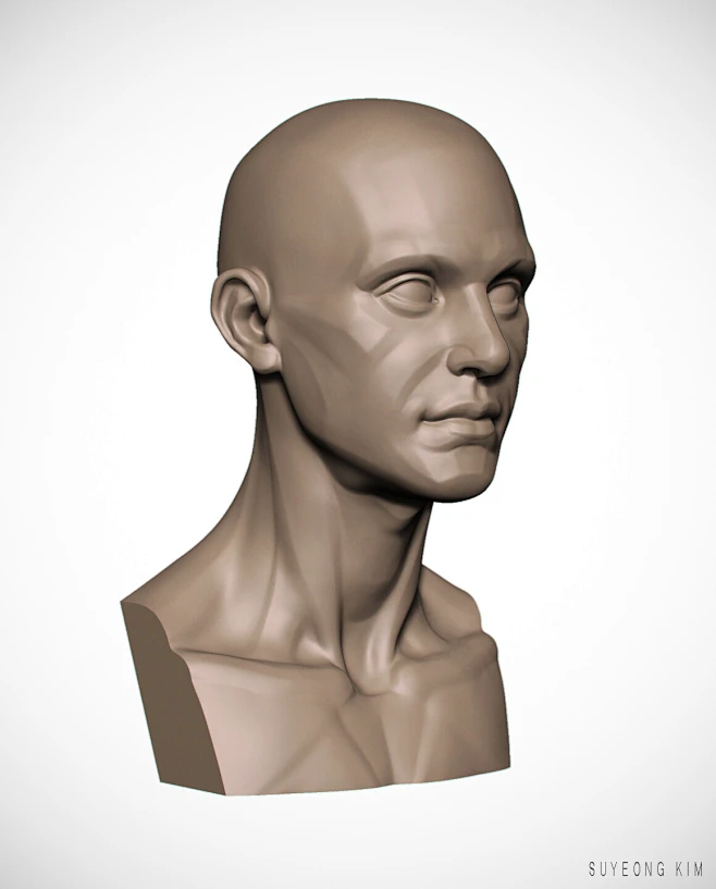 Female Anatomy Bust-花瓣网