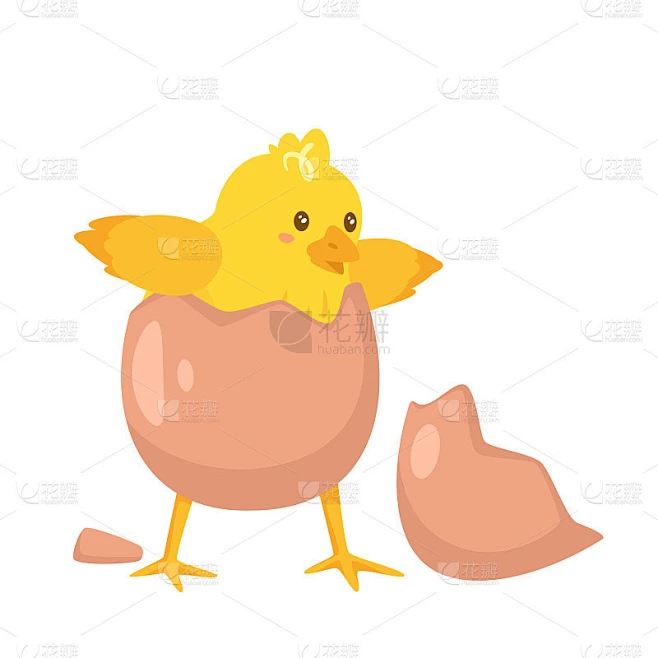 chicken_hatch_stage图片_其他图片图片素材-花瓣网