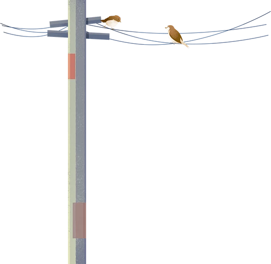 tl.png (550×536)-花瓣网