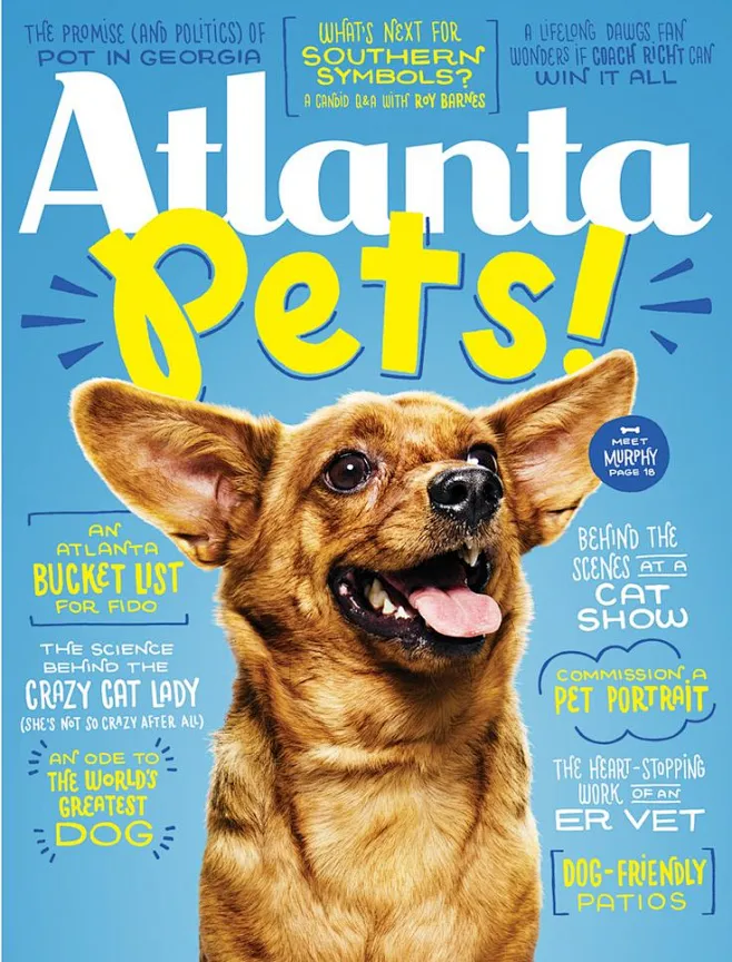 Atlanta Pets Guide - Atlanta Magazine-花瓣网