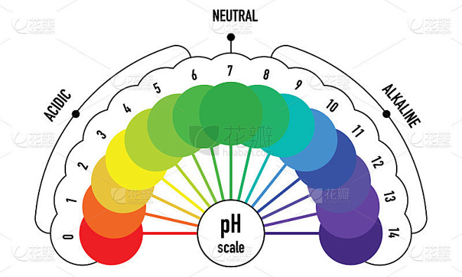 酸碱溶液的pH值刻度图，酸碱平衡信息图素材-花瓣网