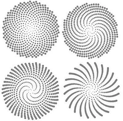 Phyllotaxis Spirals-花瓣网