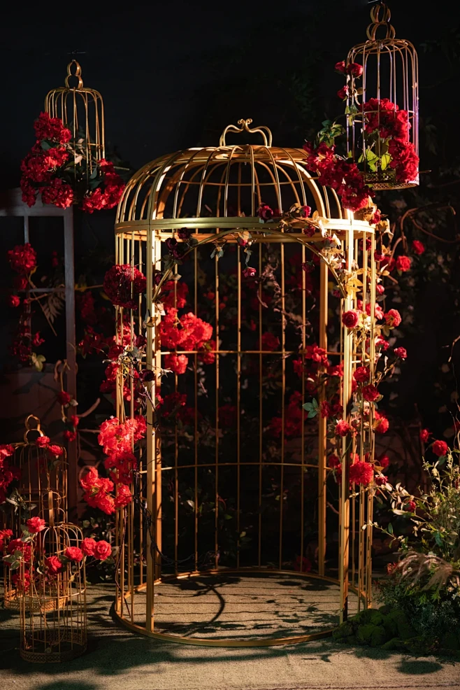 玫瑰与鸟笼-花瓣网