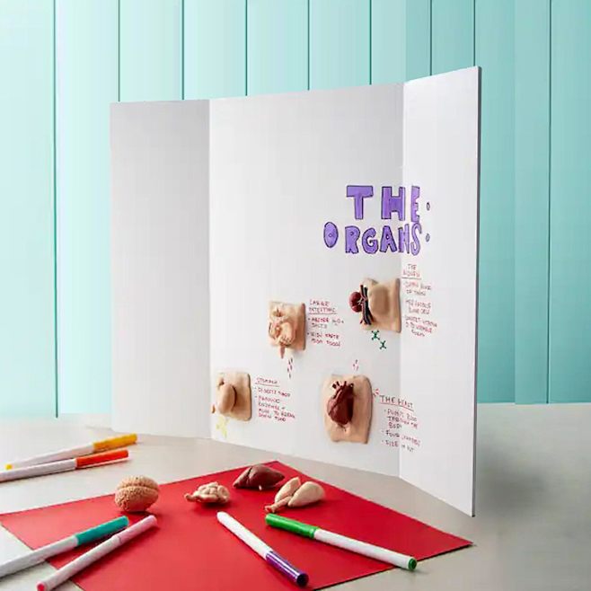 Amazon.com : 4 Pcs Small Tri-fold Poster Boards with Double Sided Tapes ...