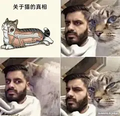 meme（梗图）图片大全-meme（梗图）高清好看的图片--花瓣超级无敌窝窝头的画板