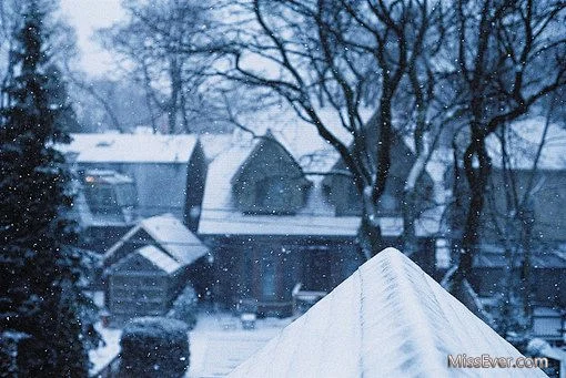 Hello！Snow-花瓣网