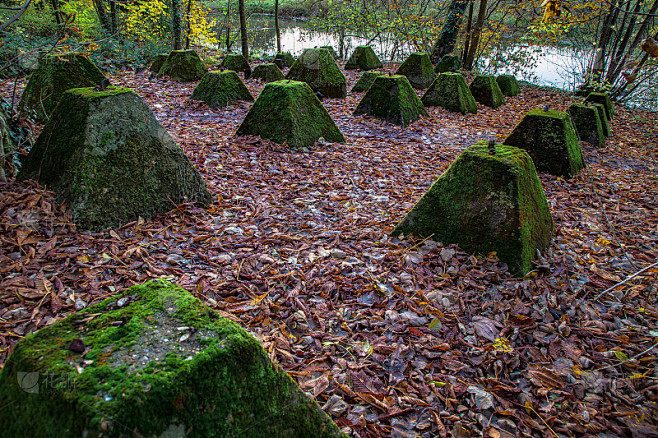 吉尔福德英格兰萨里