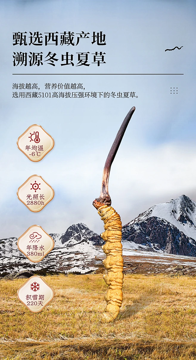 阿依舍 冬虫夏草 西藏虫草 冬虫草王滋补品 5条/g 20克 100条礼盒装【图片 价格 品牌 报价】-京东-花瓣网