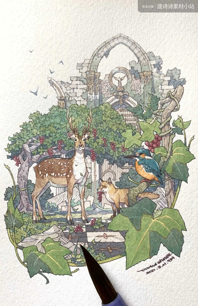 M168 渡辺孝夫-花瓣网